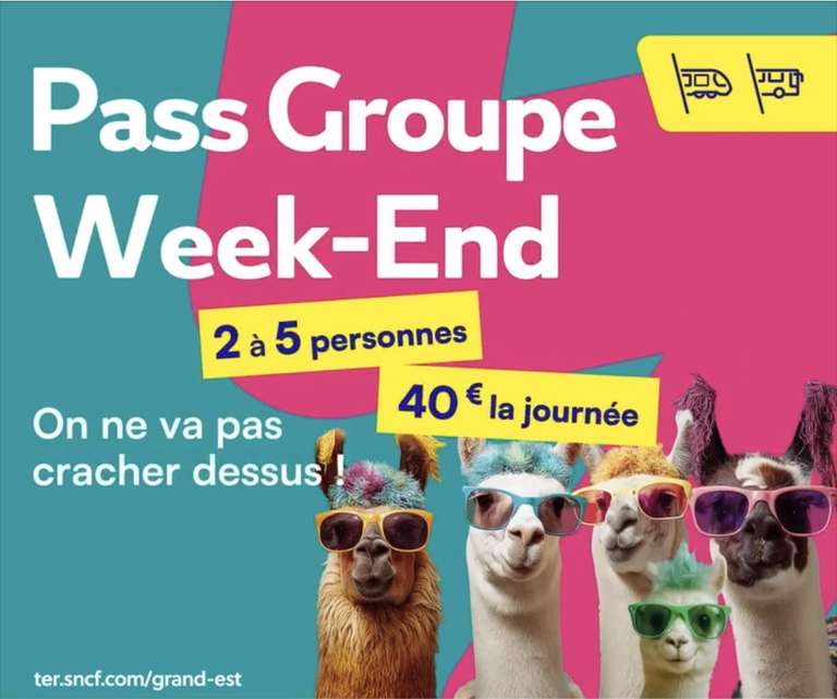Pass Groupe Week-end TER Fluo Grand Est 2–5 pers à 40€ chez SNCF ...