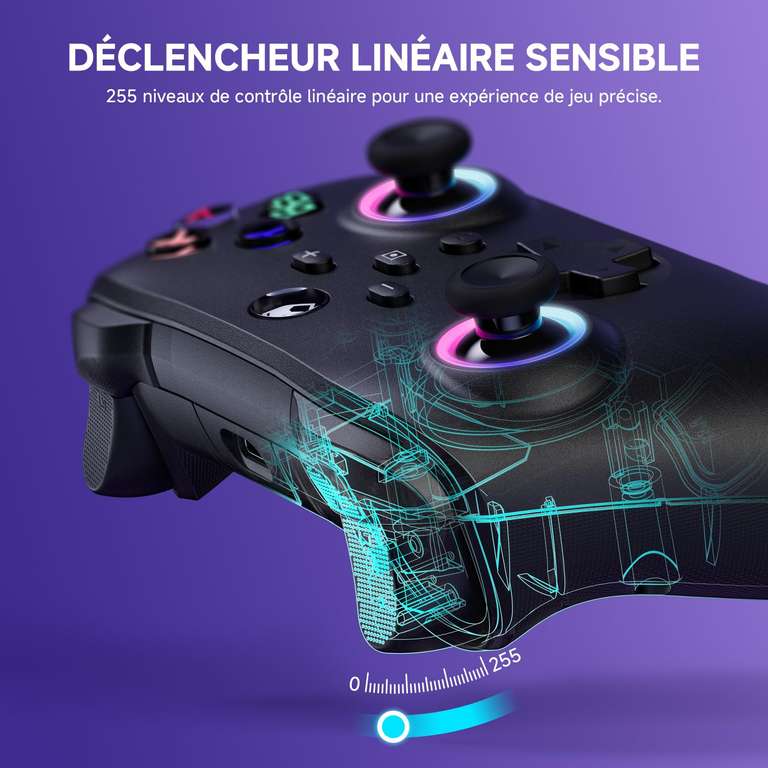 Manette sans fil ECHTPower compatible Switch / PC / Android / iOS – LED ...